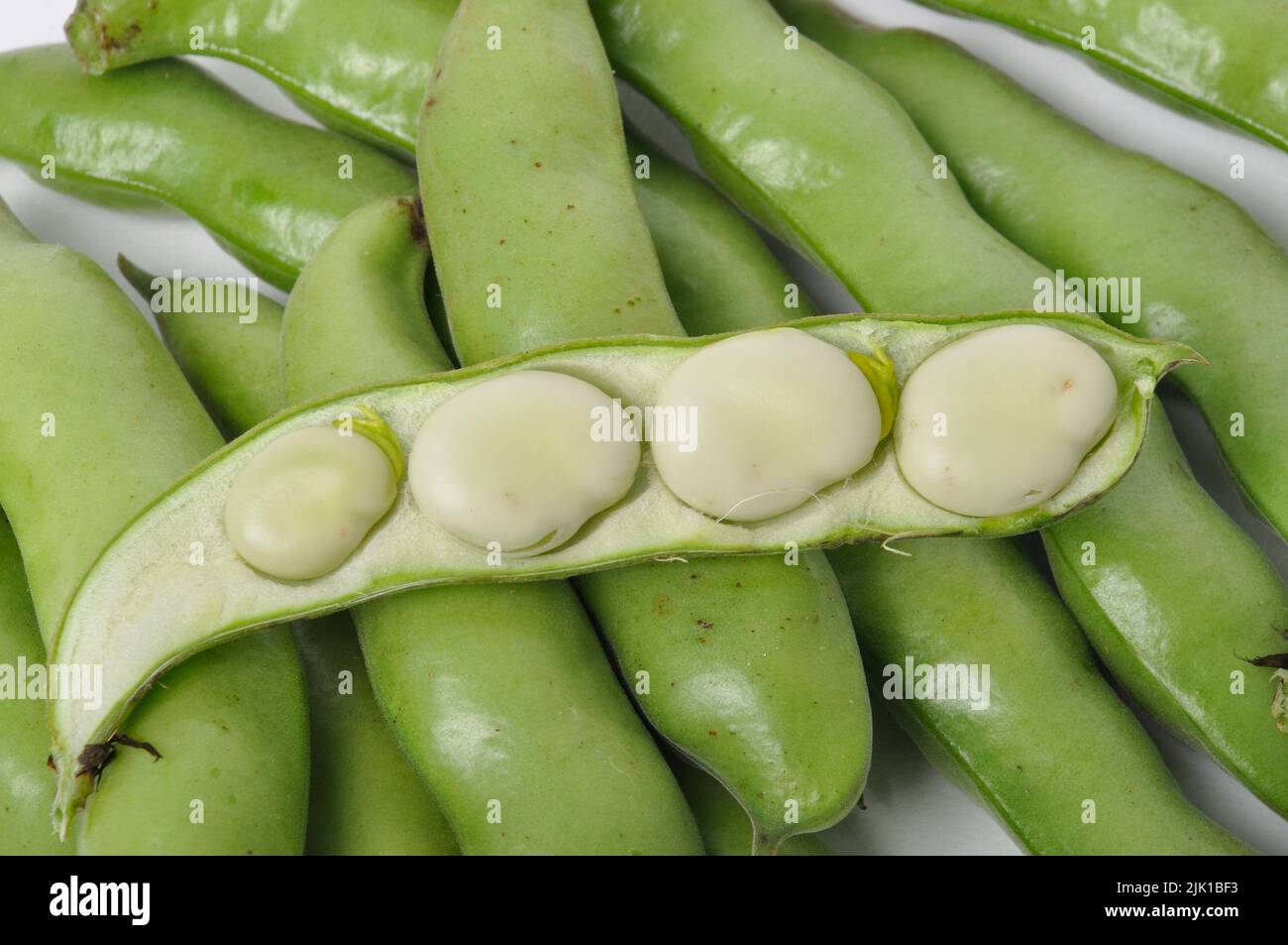 Broad beans on a white background studio shots Stock Photo - Alamy