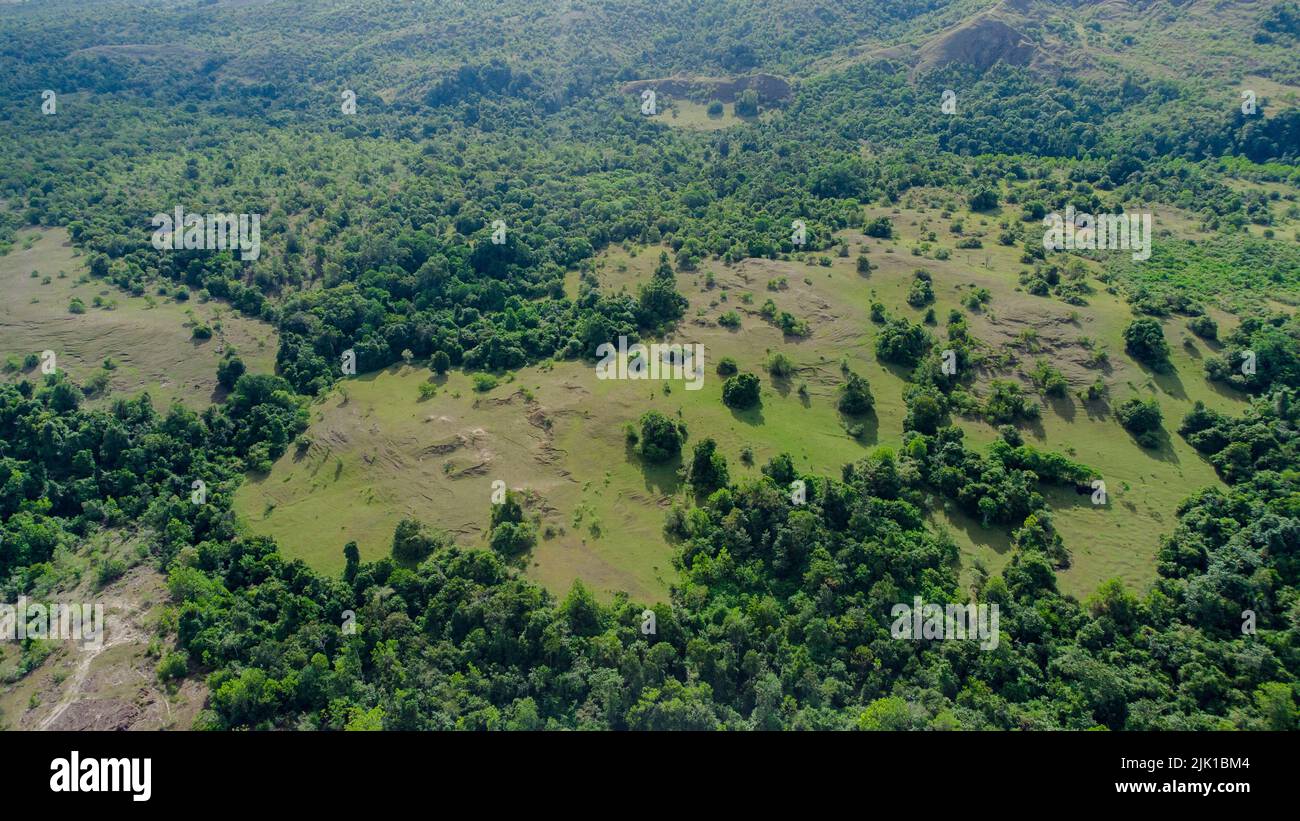 An aerial photo of a hill with green and shady trees, in the province ...