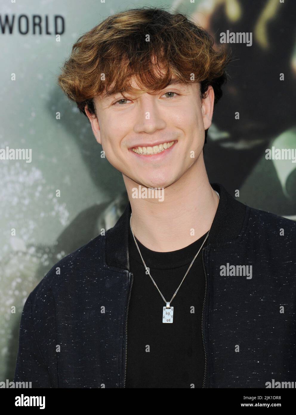 LOS ANGELES, CA - JULY 28: Josh Sadowski attends the premiere of Prime ...