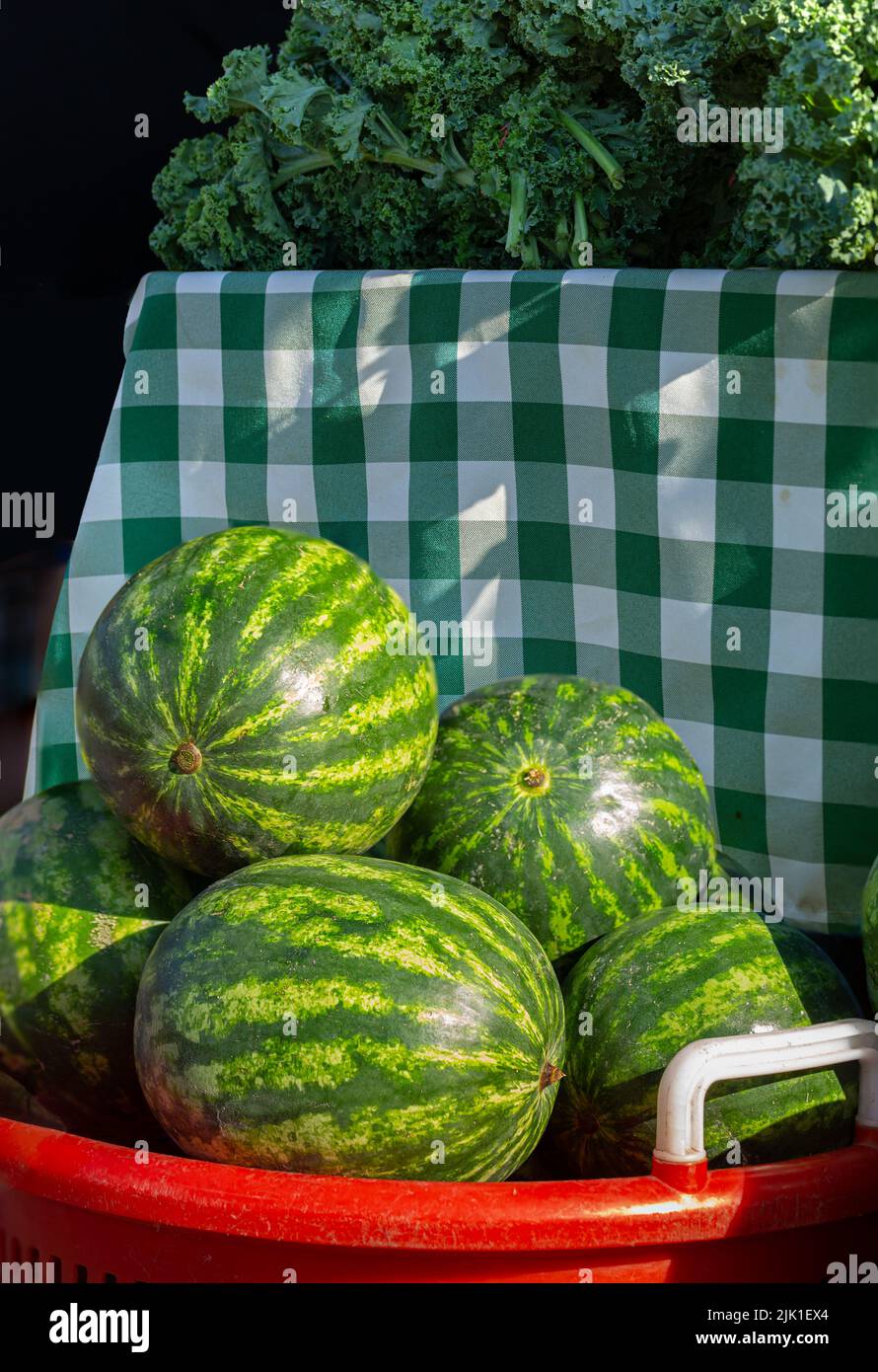 Fresh picked watermelons for sale at a local farmer's market Stock ...