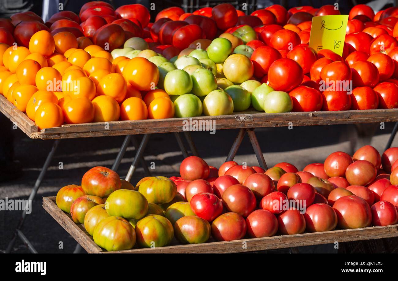 Early morning light highlights a display of yellow, red, pink, and ...