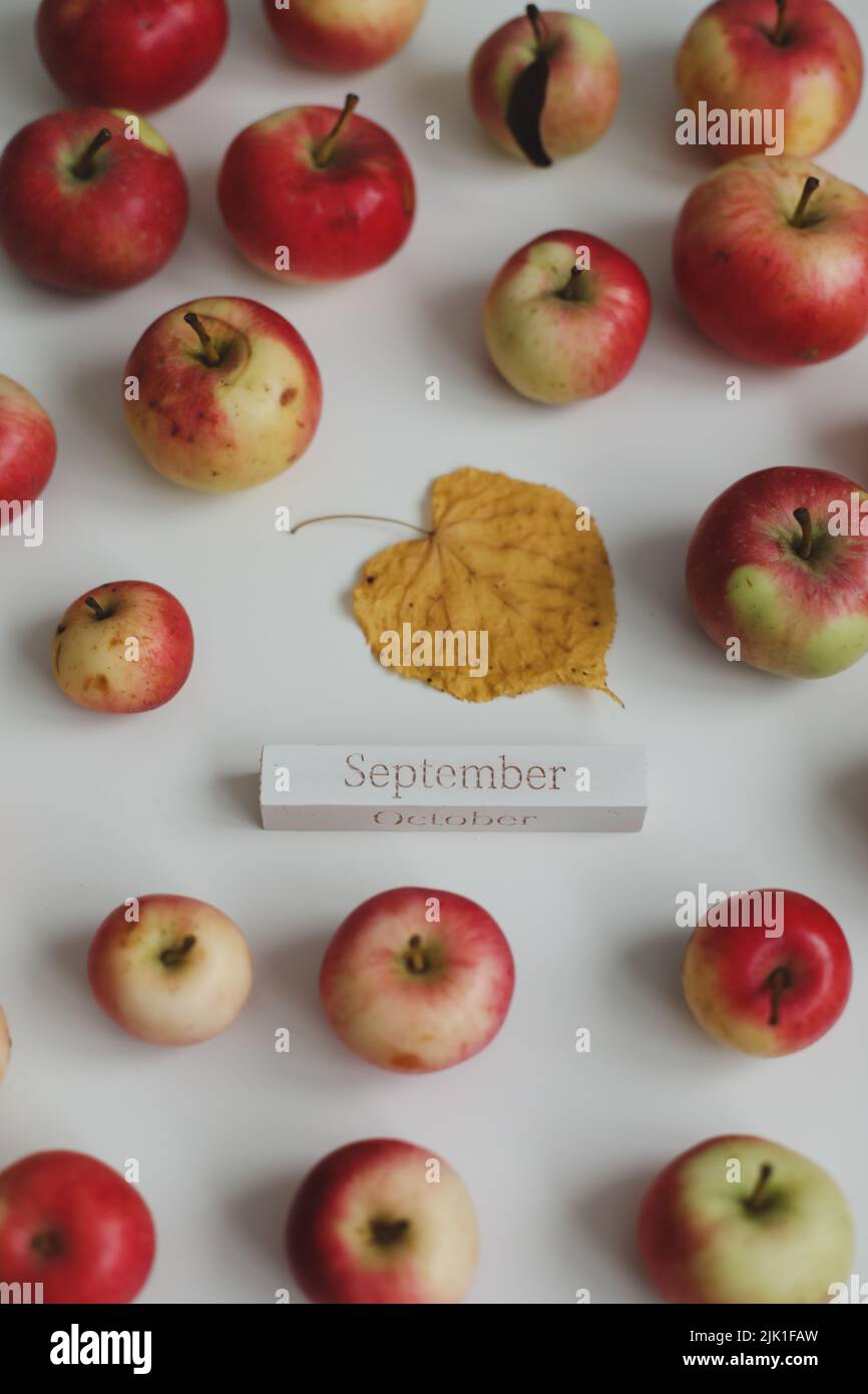 autumn background with fresh ripe red apples isolated on white top view ...