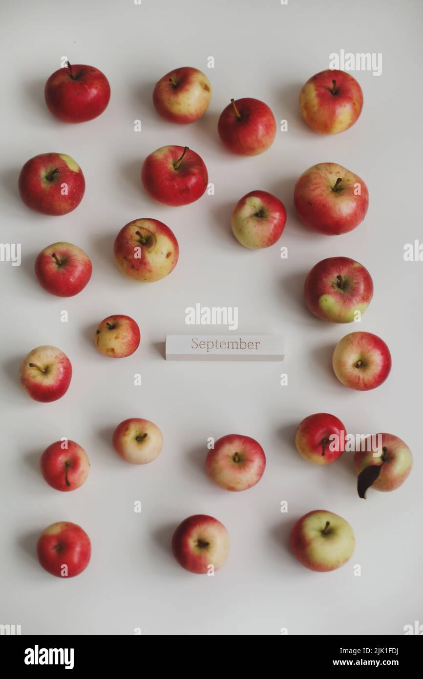 autumn background with fresh ripe red apples isolated on white top view ...