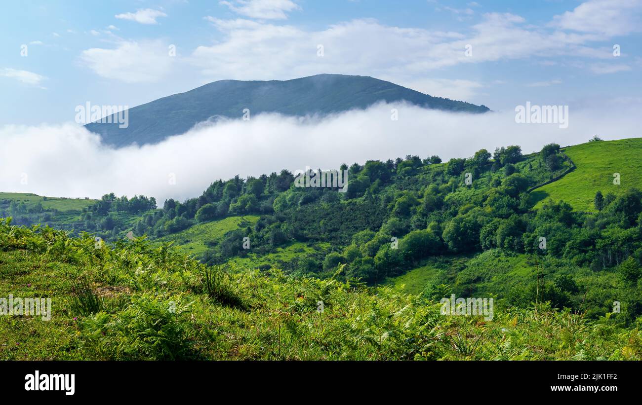 Green mountain landscape with fog below the mountain. Santander Stock ...