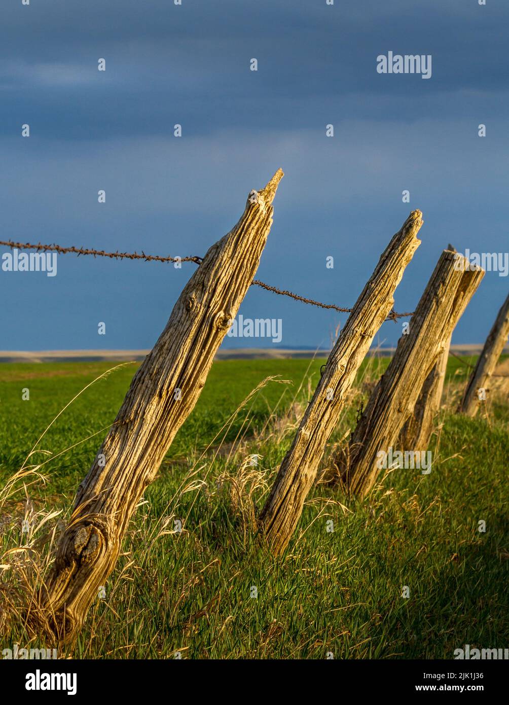 Lean leaning fence hi-res stock photography and images - Alamy