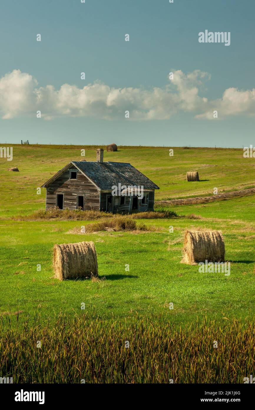Abandoned Farm House at harvest time Stock Photo - Alamy