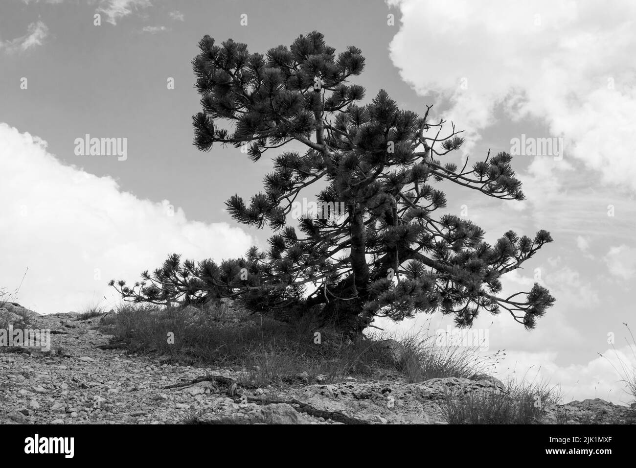 Top of the rock Black and White Stock Photos & Images - Alamy