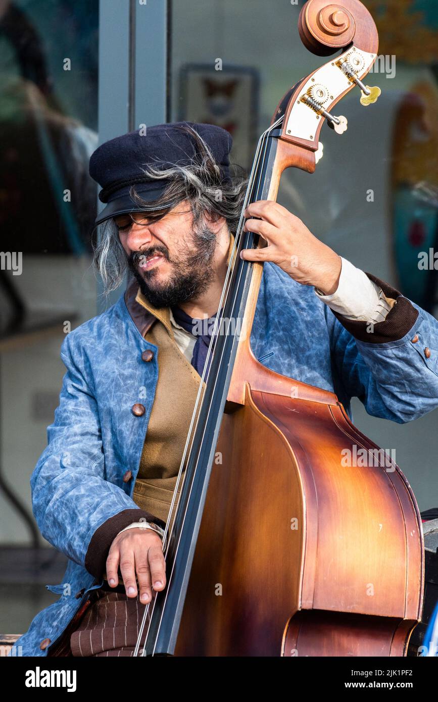 A double bass player from The Old Time Sailors performing at the ...