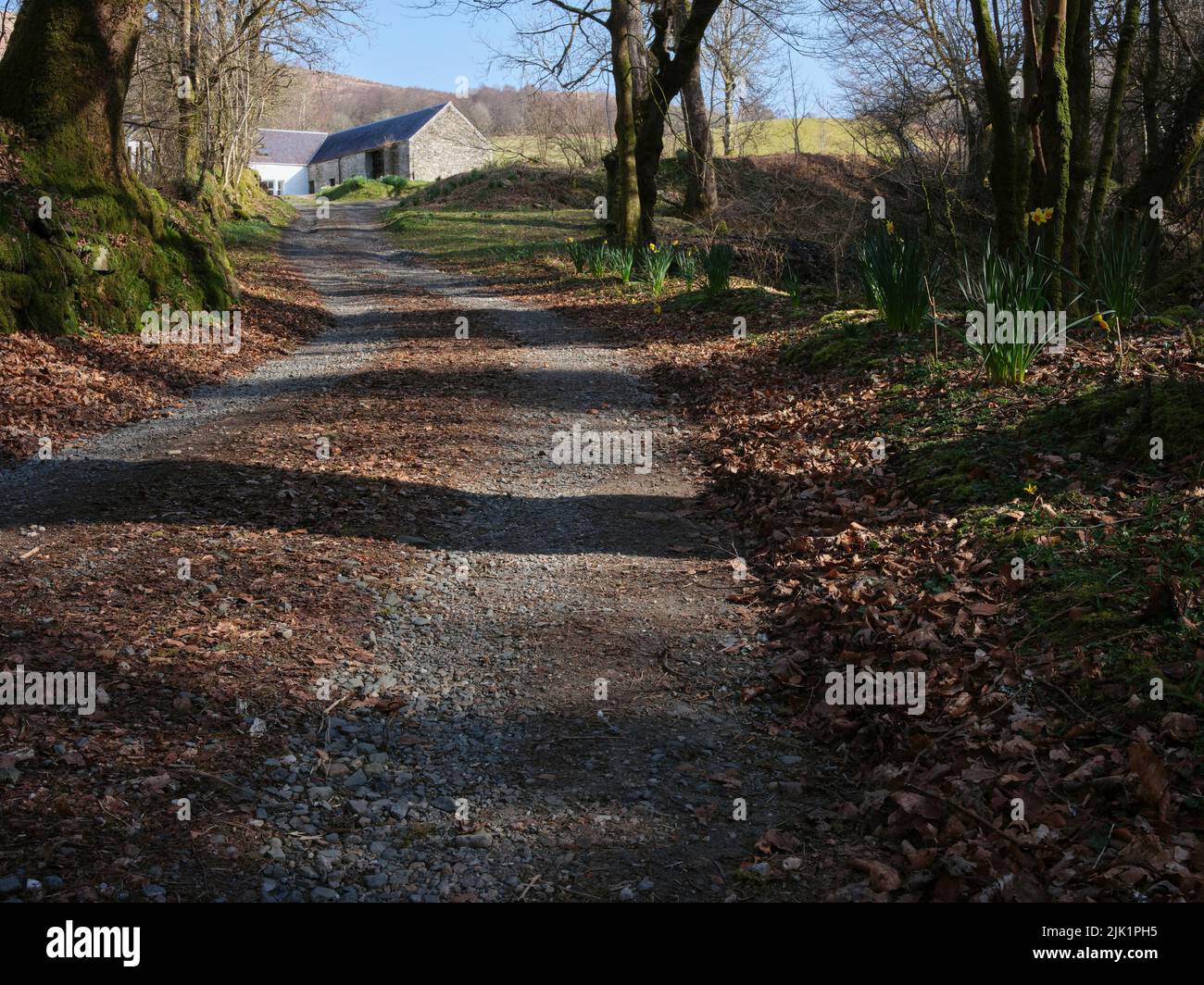 Early morning and the sun picks out detail on the white painted ...