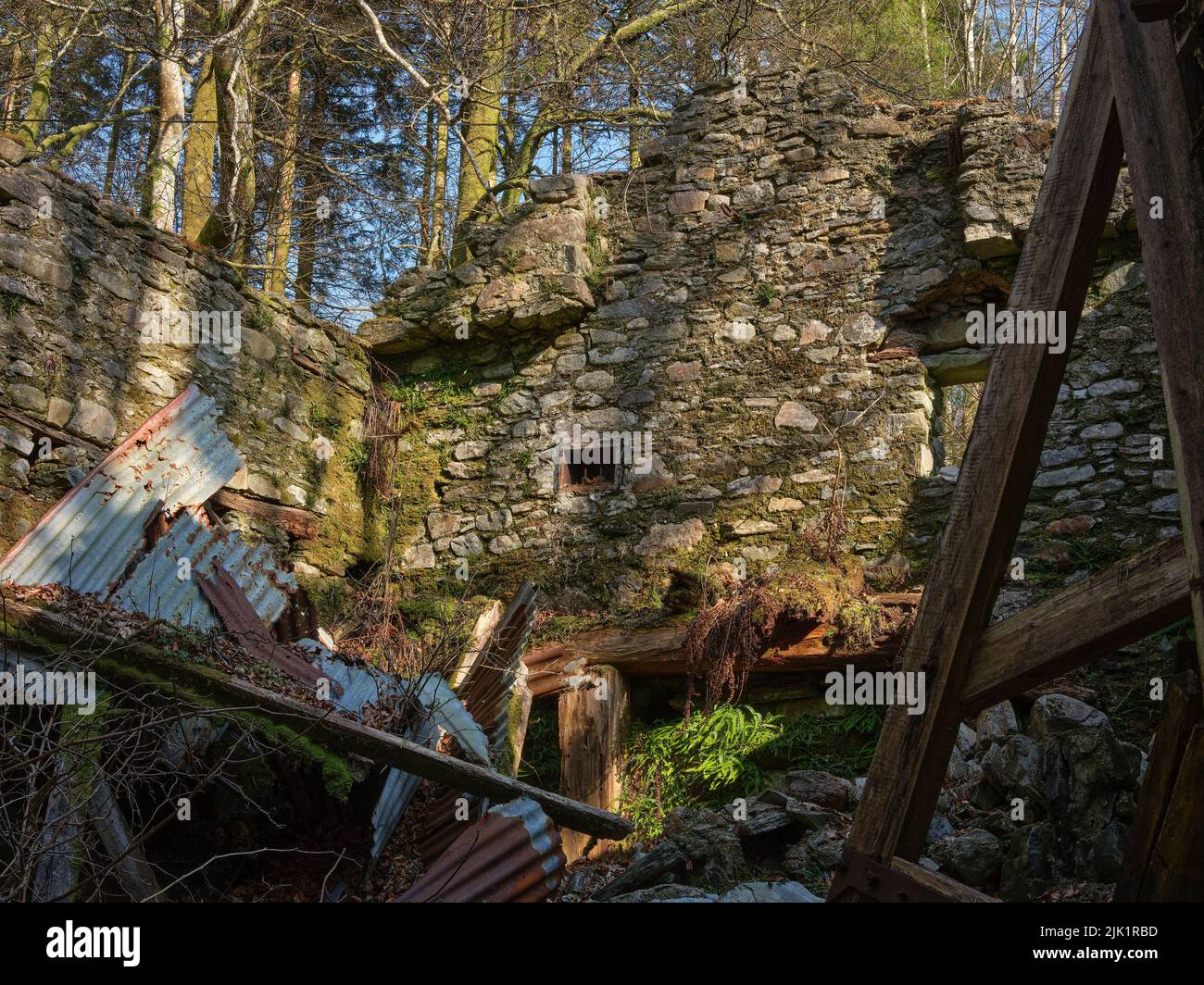 Neglected for 70 years, this once fully operational historic saw mill ...