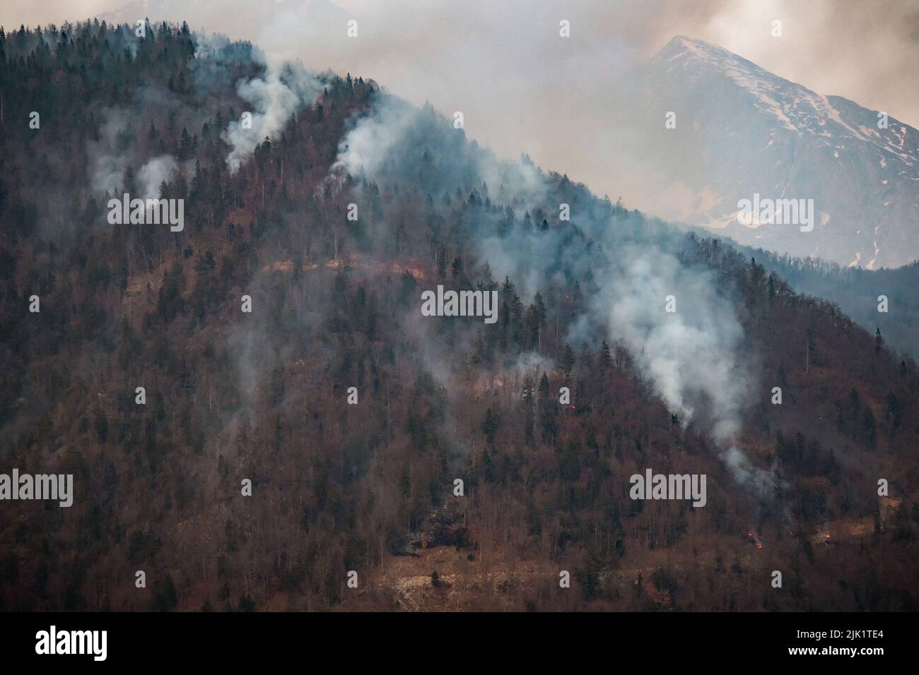 Wildfire firefighting in forest with helicopter carrying a water bucket ...