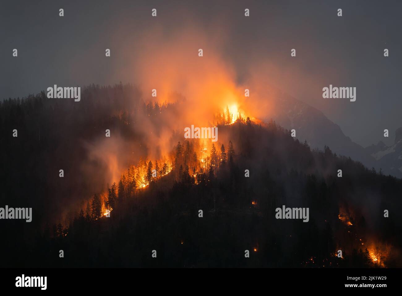 Night flame forest hi-res stock photography and images - Alamy