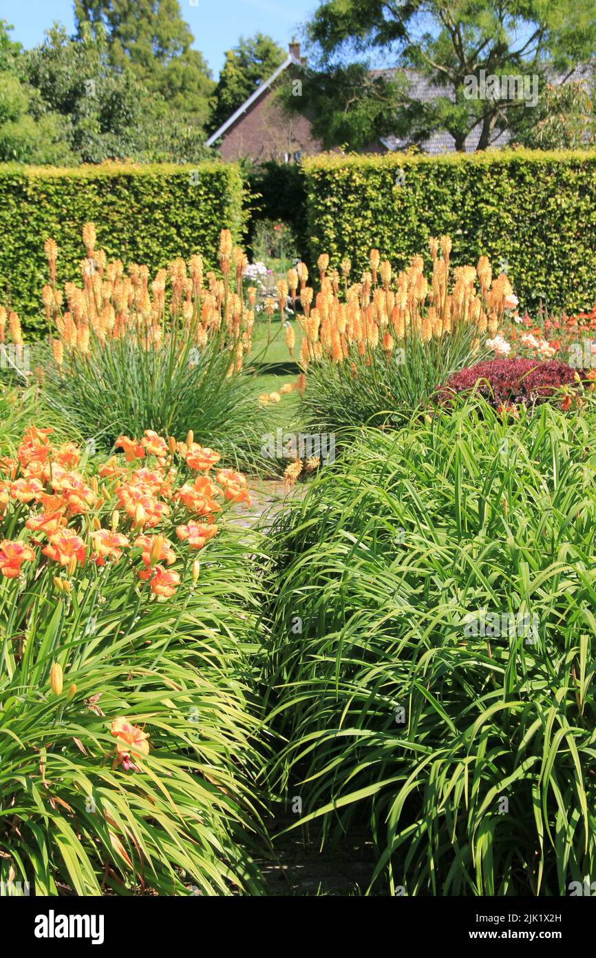 The gardens in Demen, the Netherlands Stock Photo - Alamy