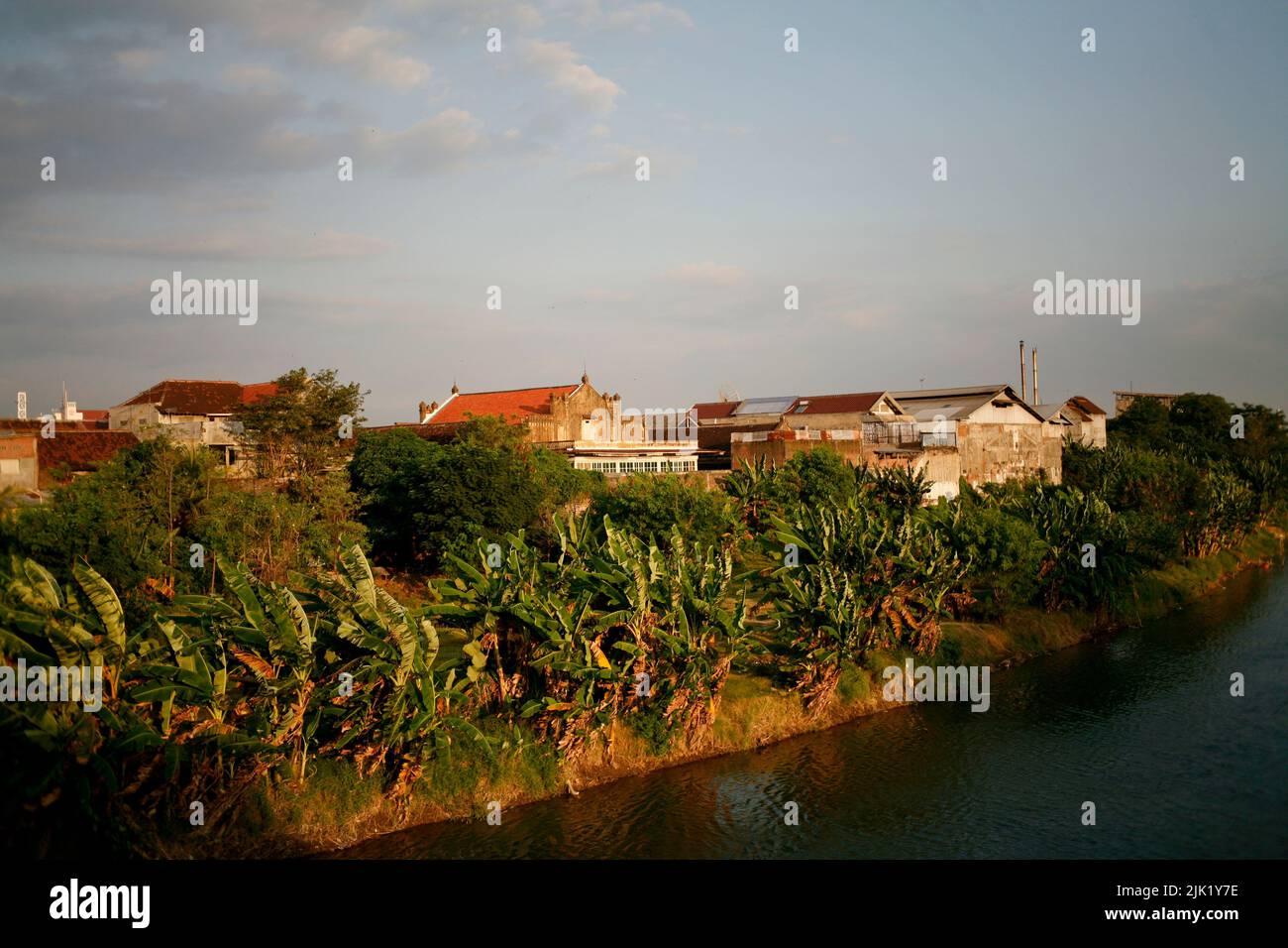 Banana garden by the river Stock Photo - Alamy