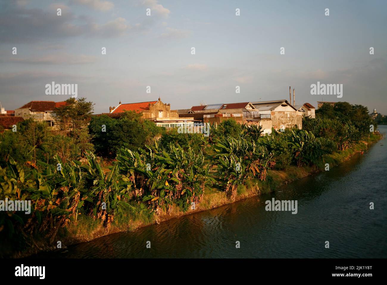 Banana garden by the river Stock Photo - Alamy