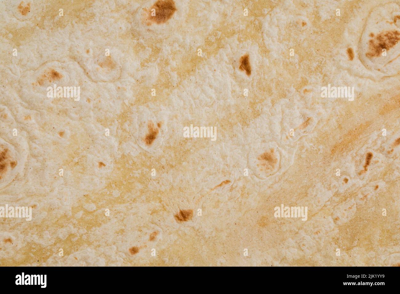 Plain wheat tortilla wraps. Spanish or Mexican circular unleavened ...