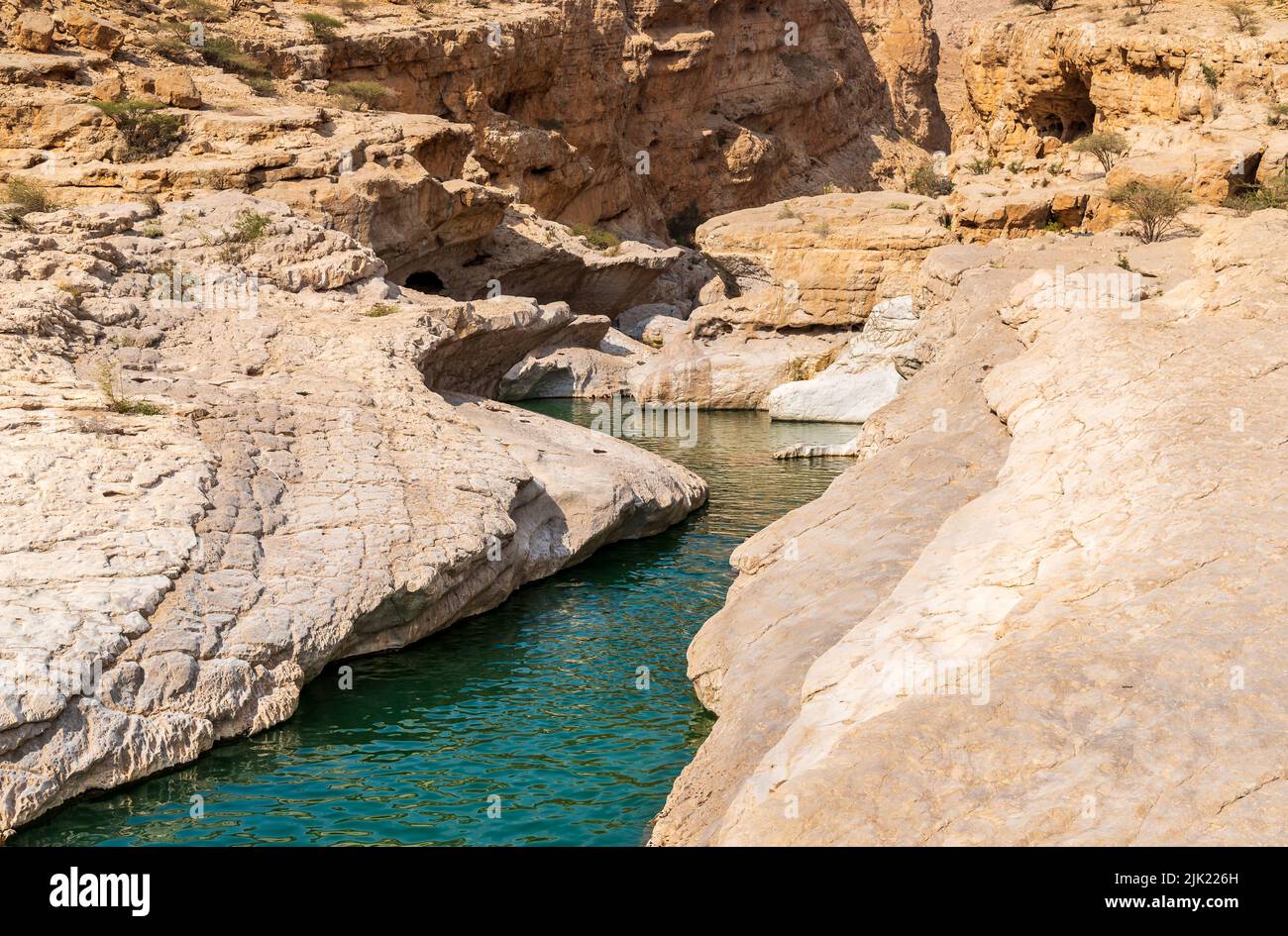 View of the Wadi Bani Khalid oasis in the desert in Sultanate of Oman ...