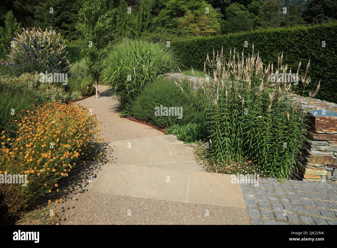 RHS Rosemoor "Cool Garden", North Devon, England, UK Stock Photo - Alamy