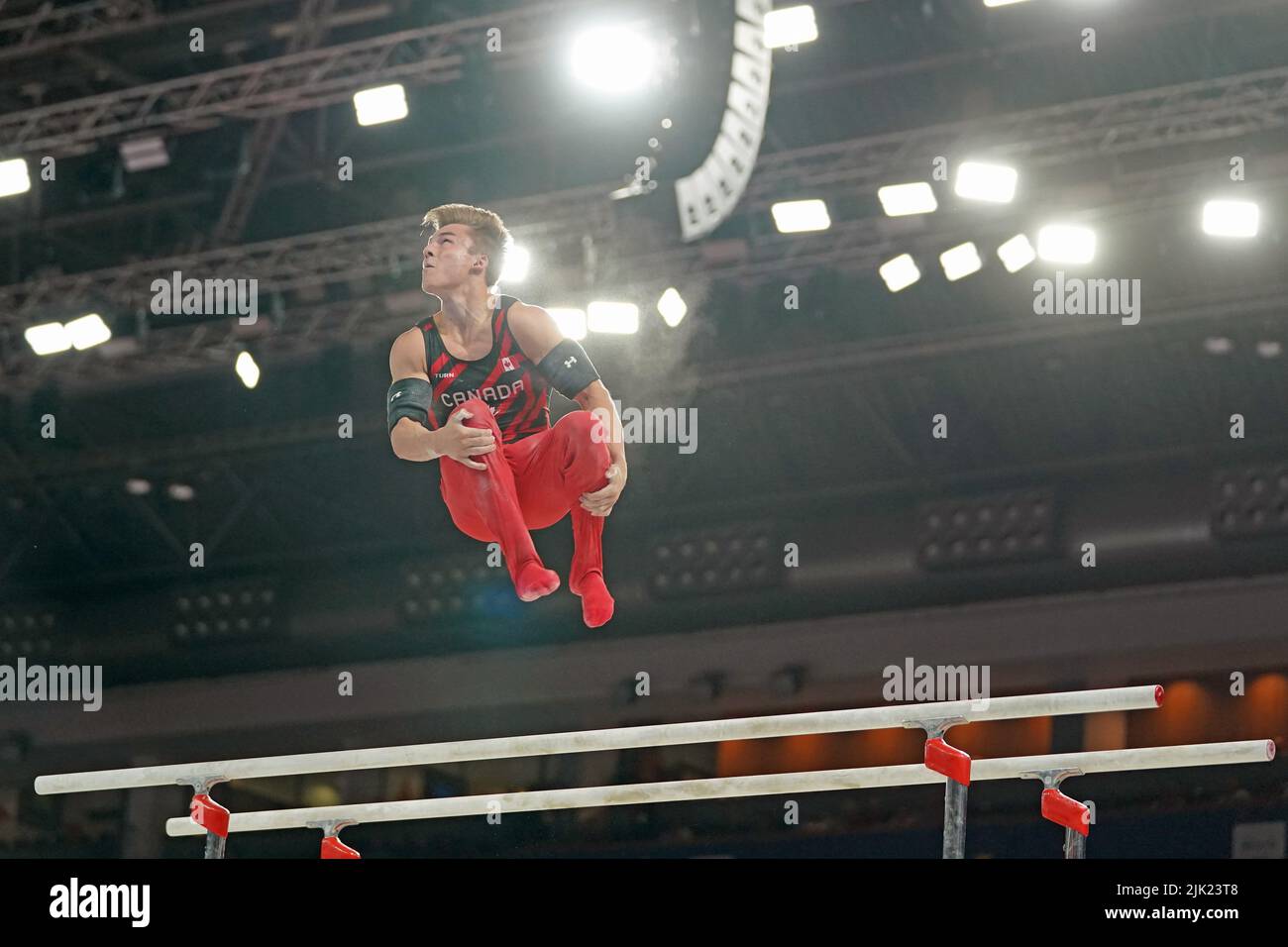 Canada's Felix Dolic in action during his parallel bars rotation of the ...