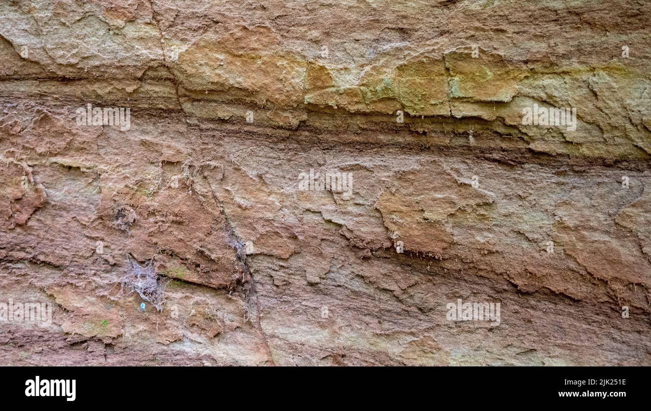 Grey and brown genuine sandstone background, real beach rock pattern. A ...