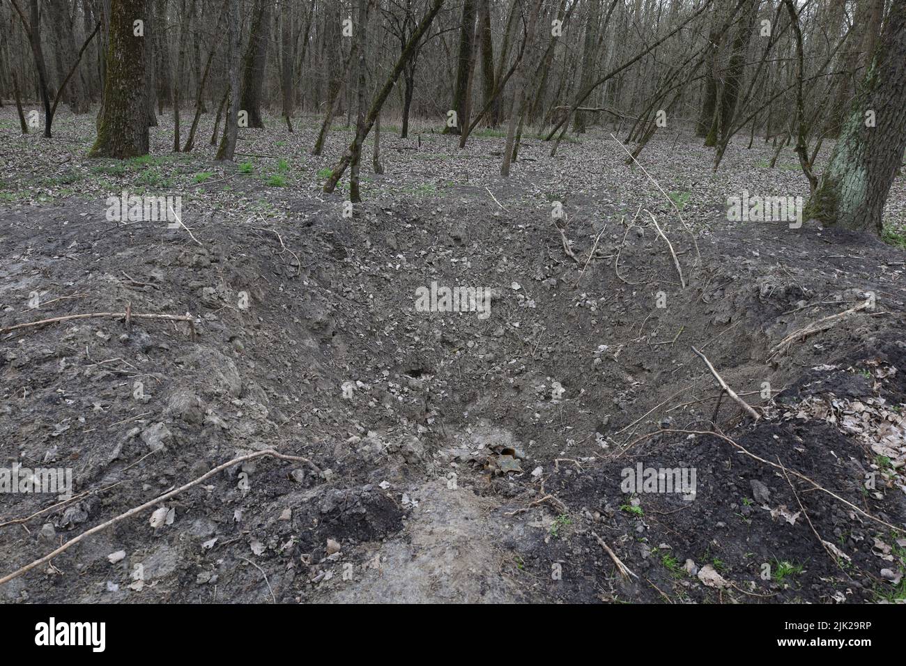 Crater in forest after artillery shell fall, ecological disaster in ...