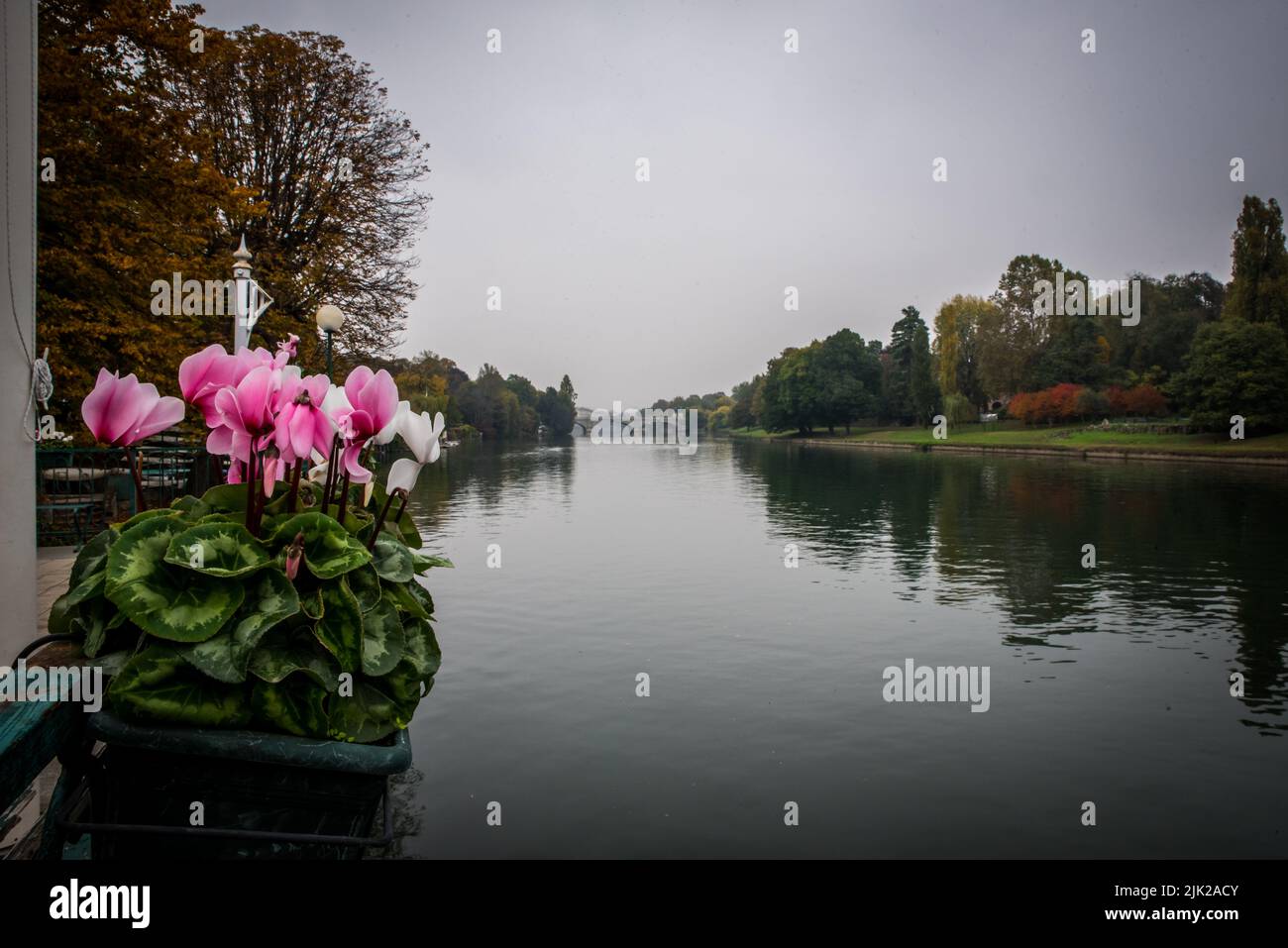 The river Po Stock Photo - Alamy
