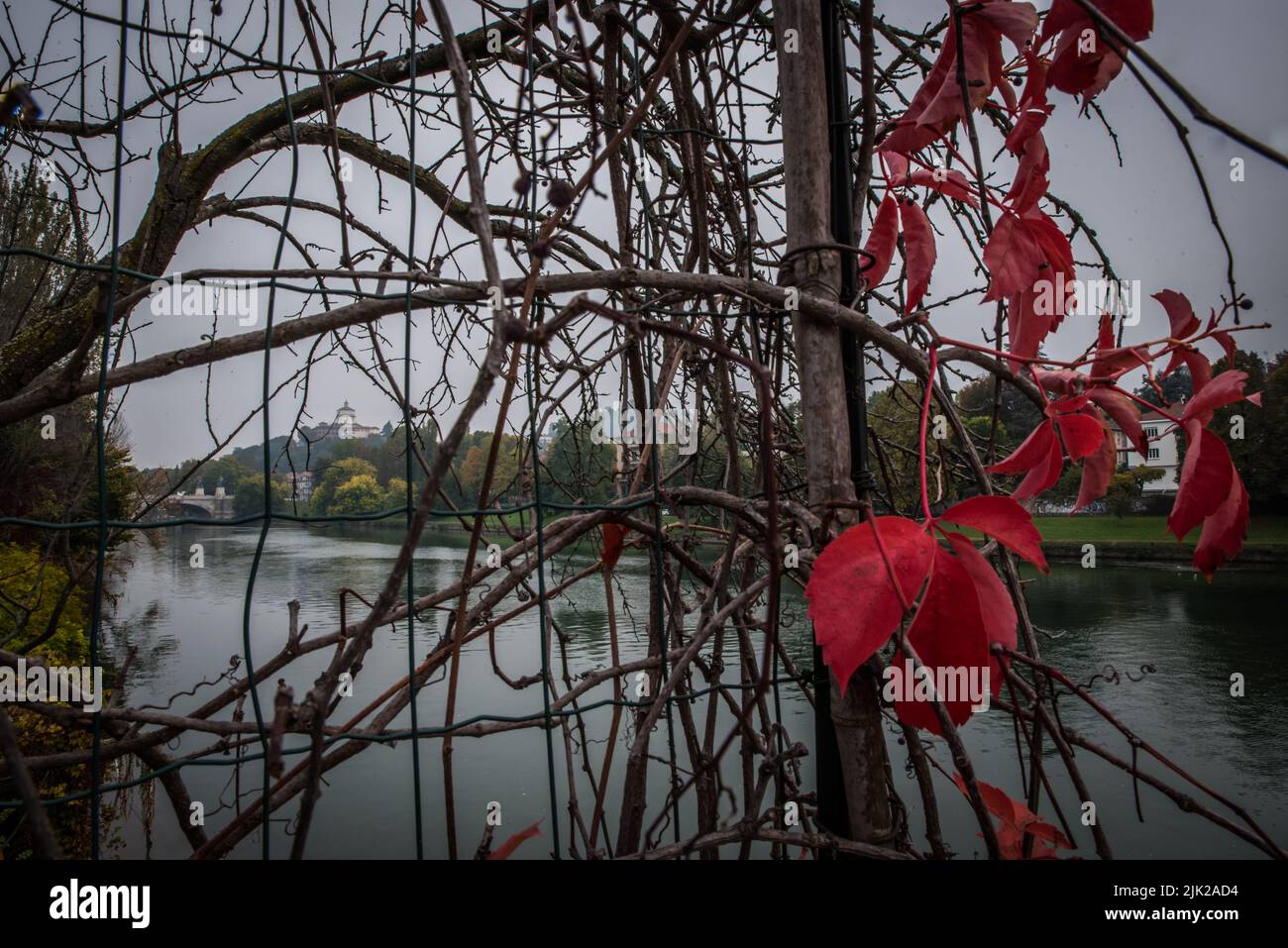 The river Po Stock Photo - Alamy