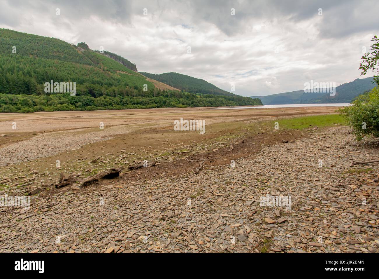 Receding waters at Lake Vyrwny, after a dry summer so far of 2022. You ...