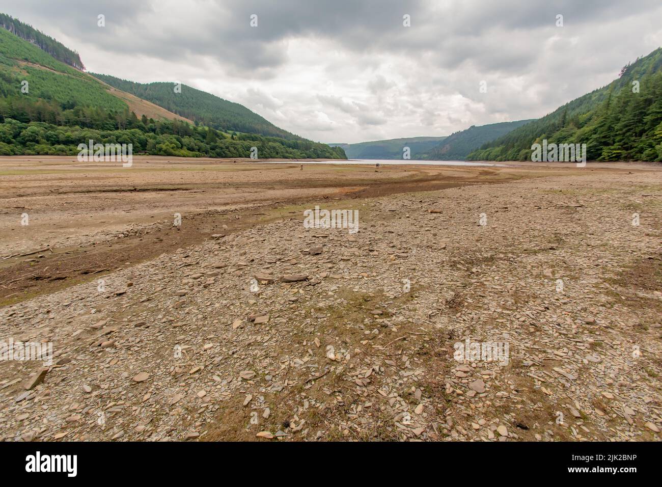 Receding waters at Lake Vyrwny, after a dry summer so far of 2022. You ...