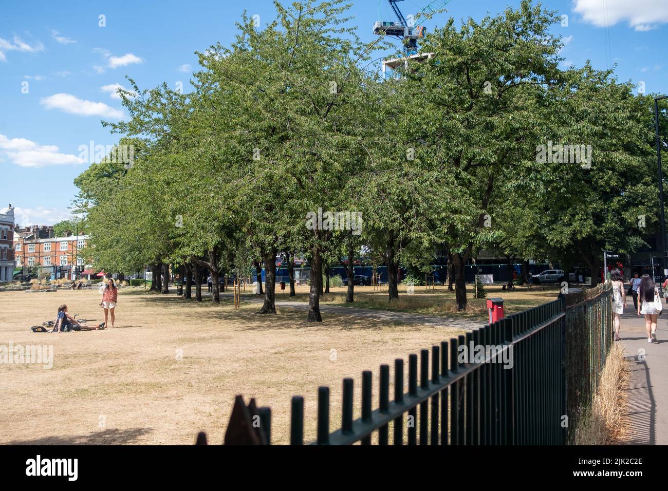 London, July 2022: Chiswick Town Hall Avenue on Turnham Green park ...