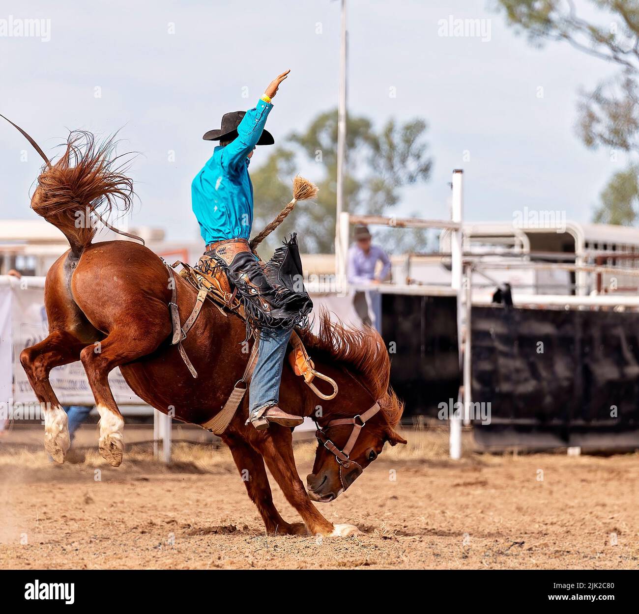 Cowboy riding a bucking bronc at a country rodeo Australia Stock Photo ...
