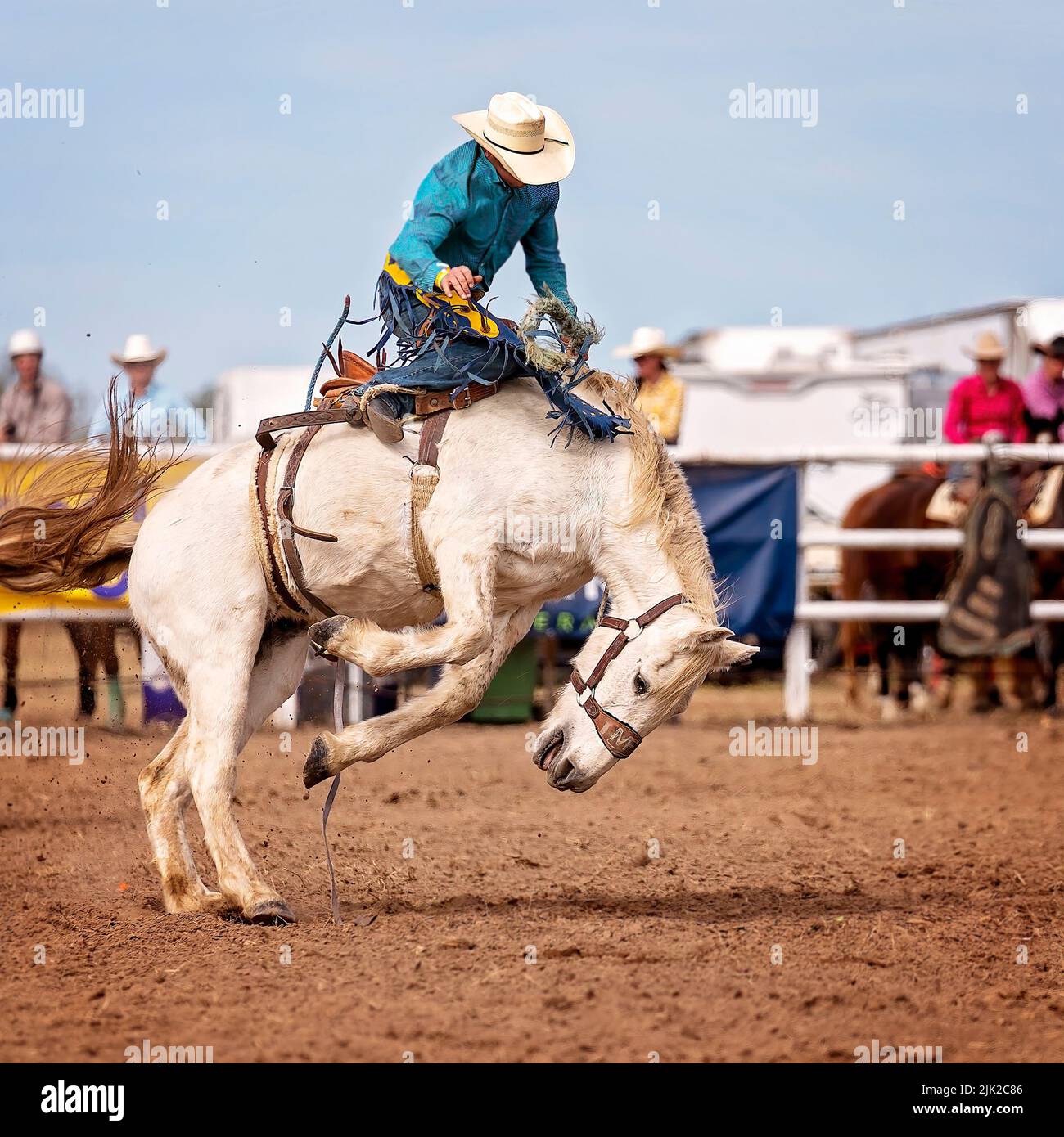 Cowboy riding a bucking bronc at a country rodeo Australia Stock Photo ...