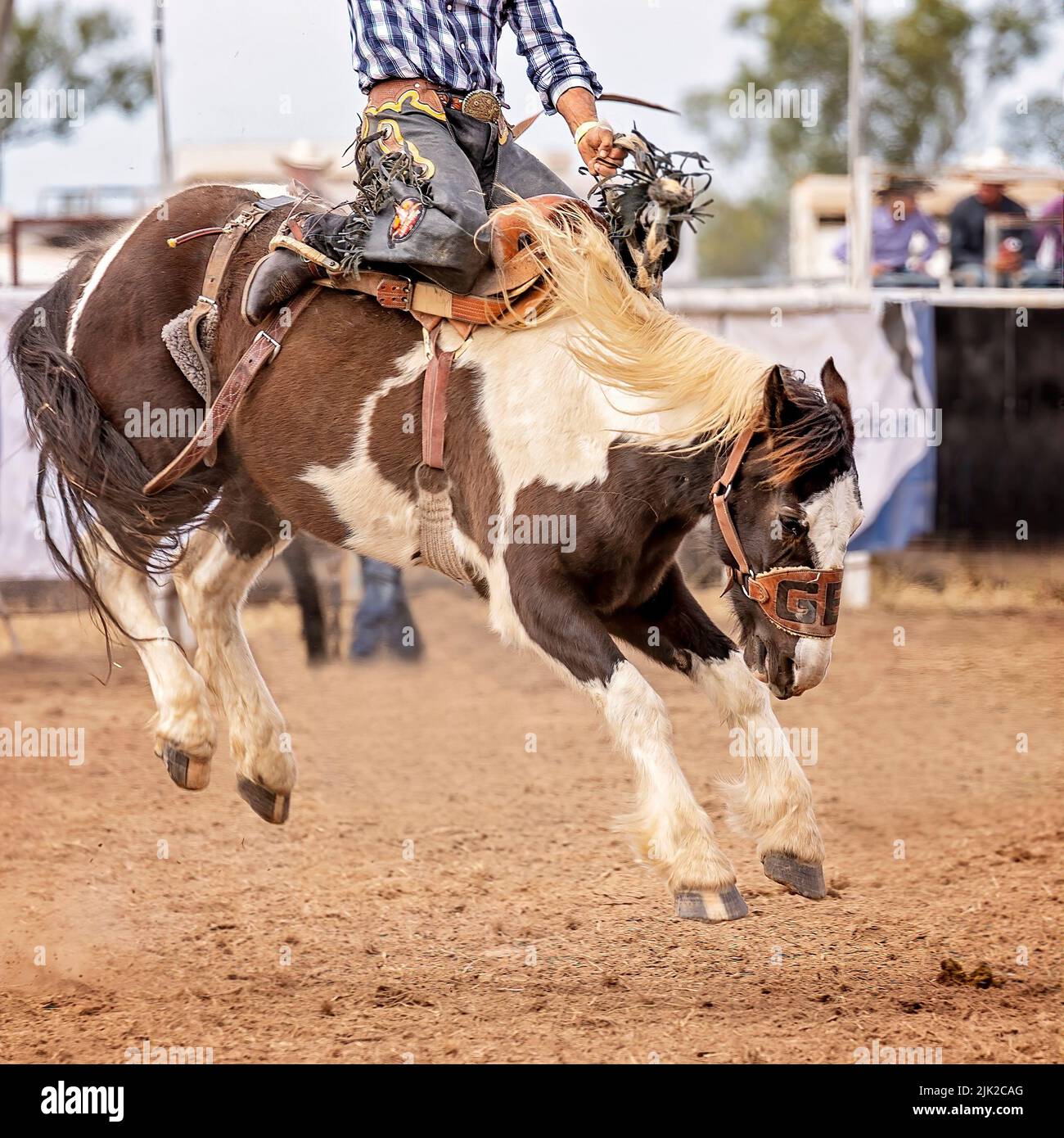Cowboy riding a bucking bronc at a country rodeo Australia Stock Photo ...