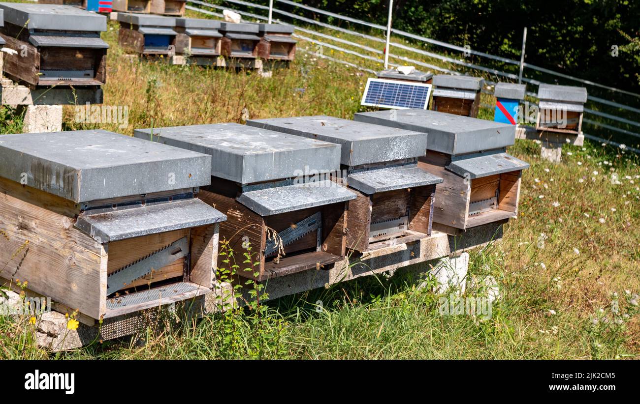 Beehives in field flowers hi-res stock photography and images - Alamy