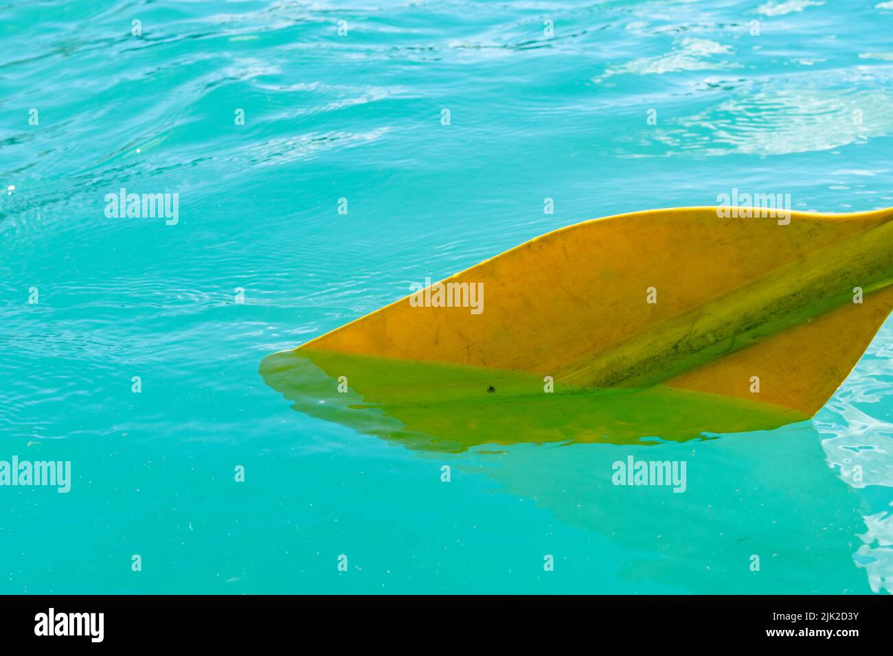 Yellow canoe paddle in the teal water of Emerald Lake in Yoho National ...