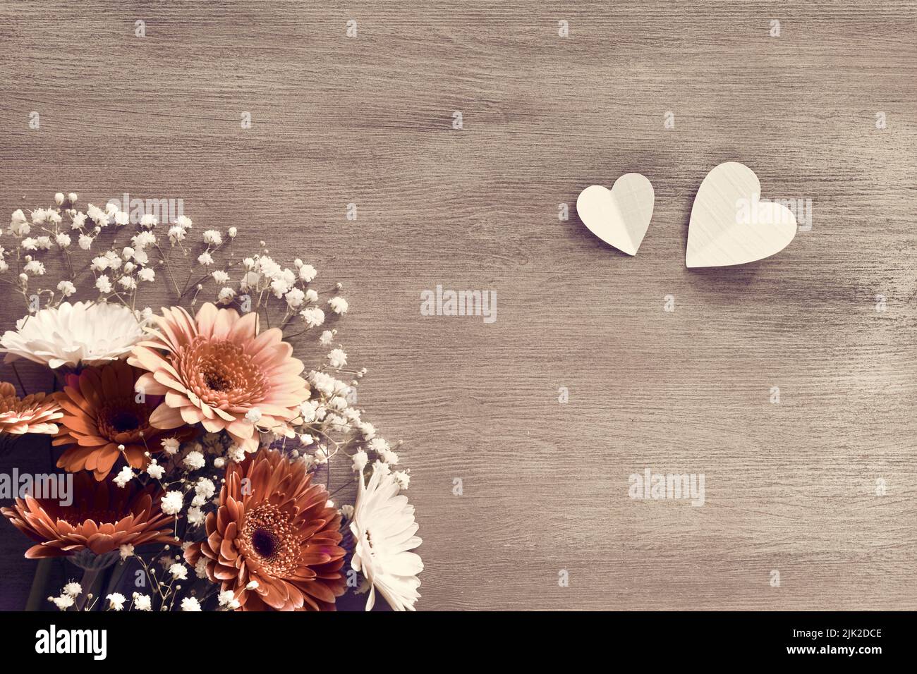 Coffee toned gerberas. Flower arrangement, floral corner composition ...