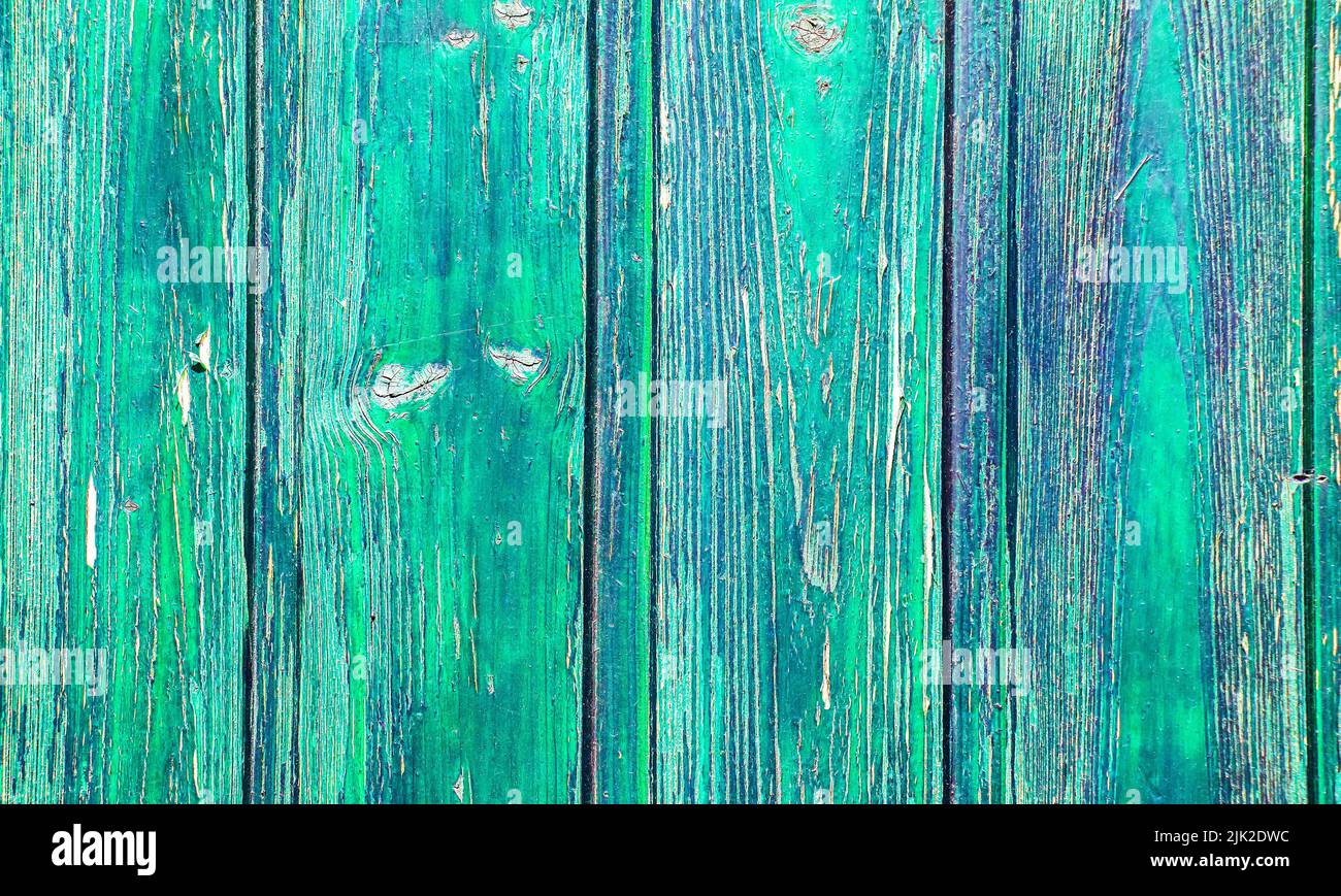 Wooden texture background. Texture of an old tree with a turquoise tint ...