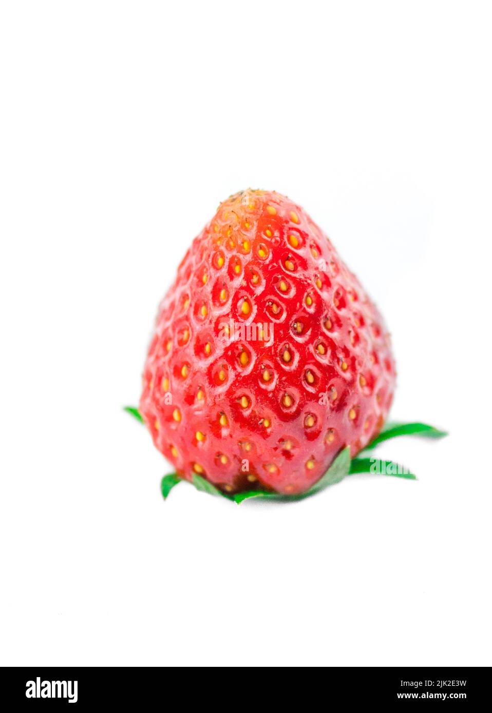 Red berry, one strawberry on white background Stock Photo - Alamy