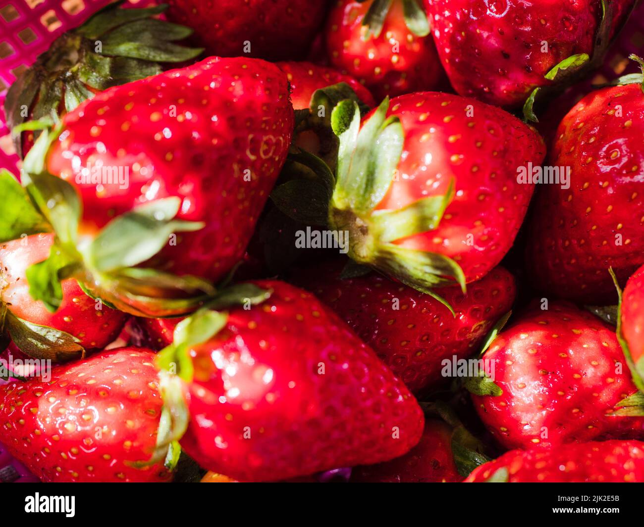 many red ripe strawberries with green stalks - background Stock Photo ...