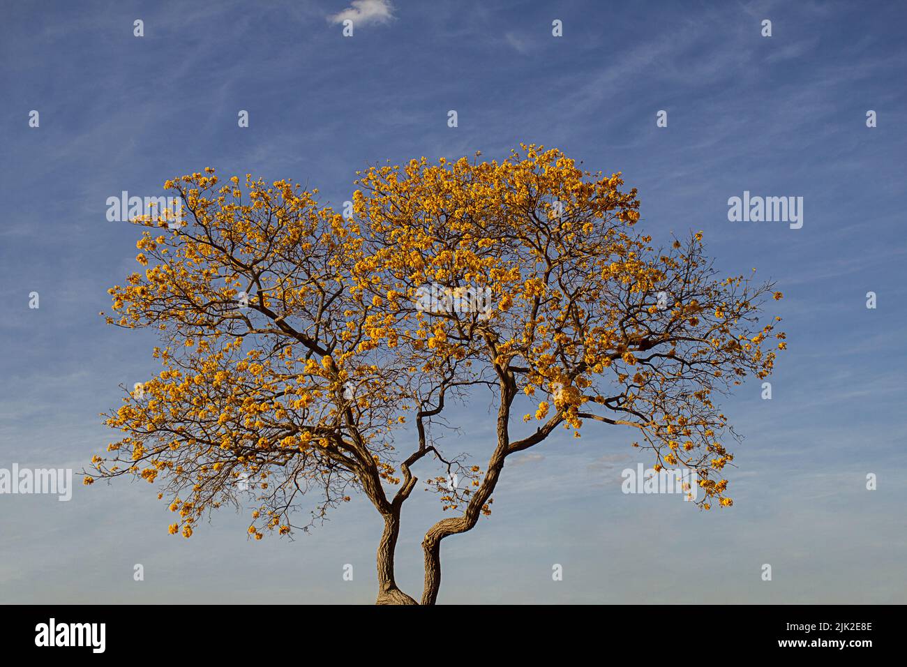 2022 cerrado hi-res stock photography and images - Alamy