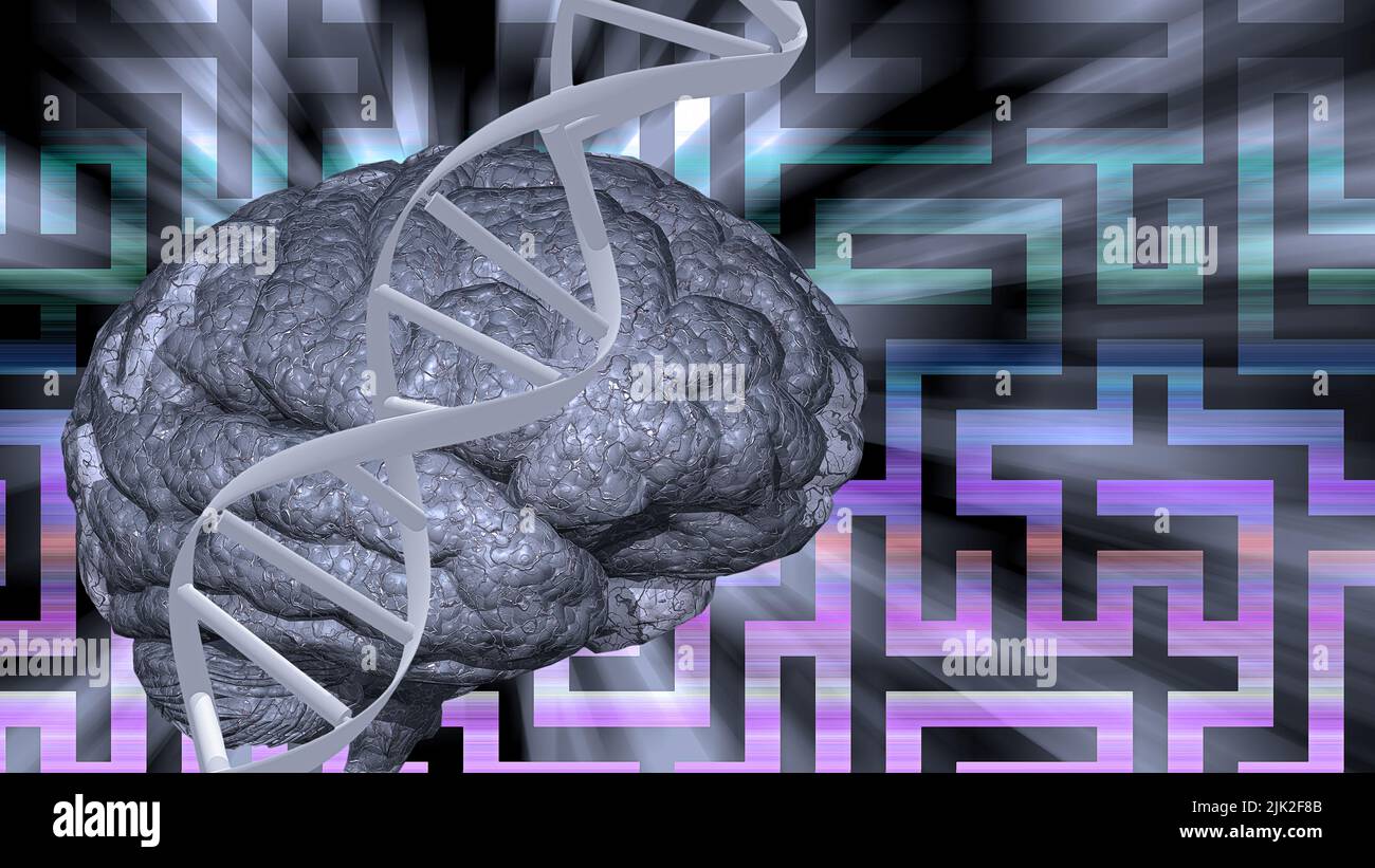 DNA strand and brain on maze background. 3D rendering Stock Photo - Alamy