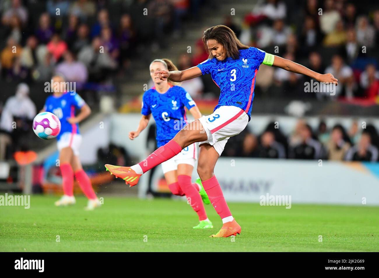 Uk renard hi-res stock photography and images - Alamy