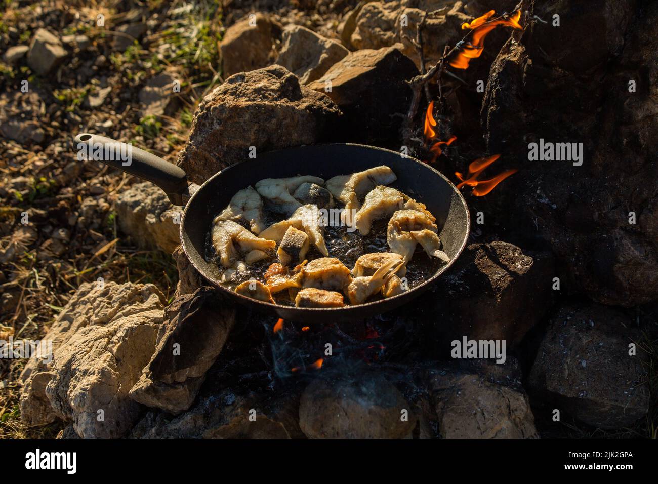 Frying fish in oil in a pan in the camp Stock Photo - Alamy