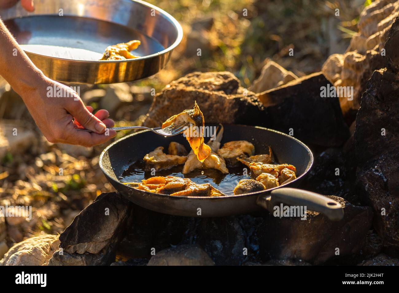Frying fish in oil in a pan in the camp Stock Photo - Alamy