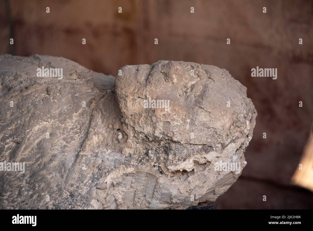 Pompeiian inhabitants petrified in their last situation of life ...