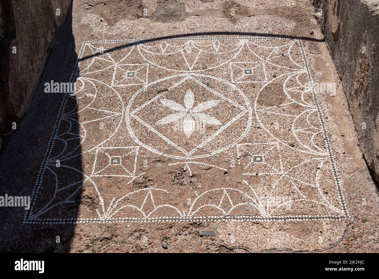Roman floral floor mosaic hi-res stock photography and images - Alamy