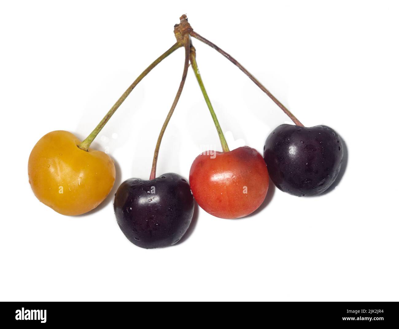 Sweet cherries of different varieties on a white background. Cherries ...