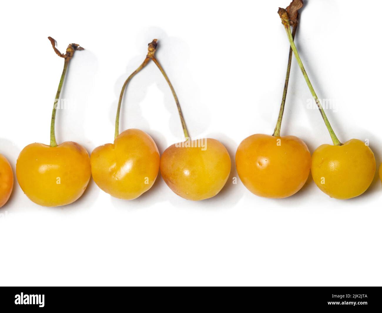 yellow cherry. Ingredient for jam. Multi-colored cherries with stems ...