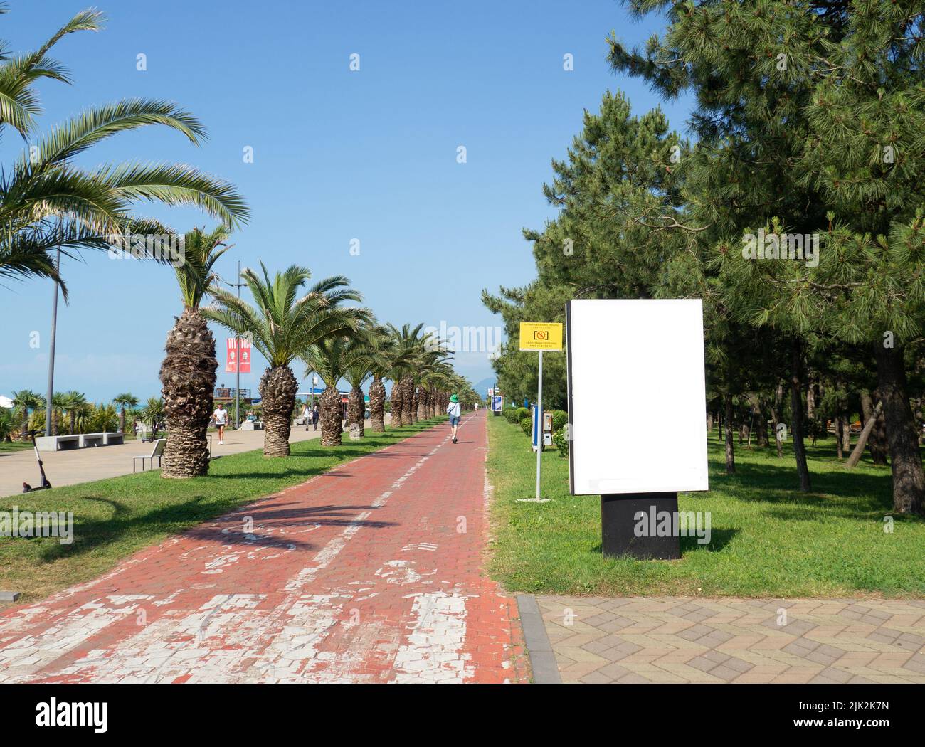 Place for advertising. Advertisement stand. Mocap among palm trees ...