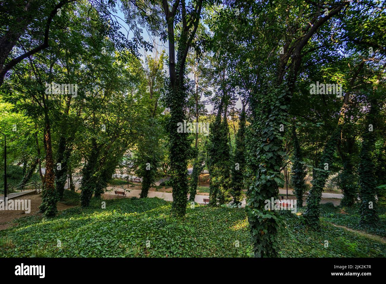 Park chairs in Mziuri park in Tbilisi, Georgia Stock Photo - Alamy